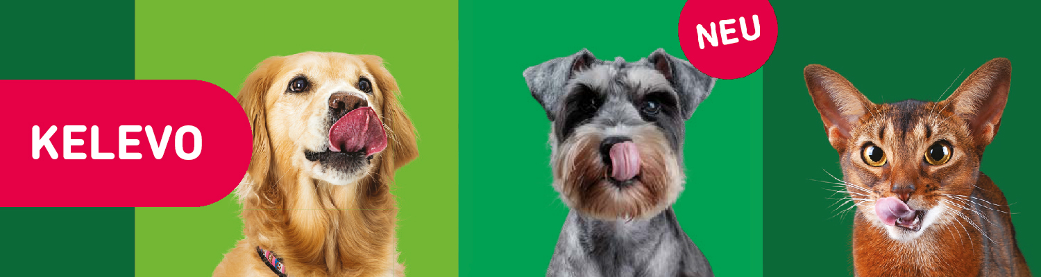 Livisto - Along with you