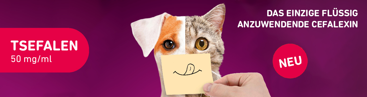 LIVISTO | Along with you